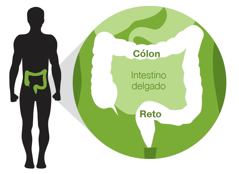 Câncer de Cólon e Reto - Centro Oncológico